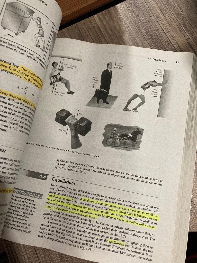 Tippens Physics 7th Edition, Hobbies & Toys, Books & Magazines ...