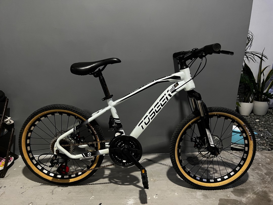 Toseek Metal Mini Mtb for Kids, Sports Equipment, Bicycles & Parts ...