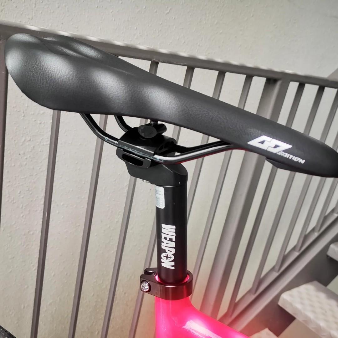 Unknown fixie bike / fixed gear bike / single speed bike - frameset ...