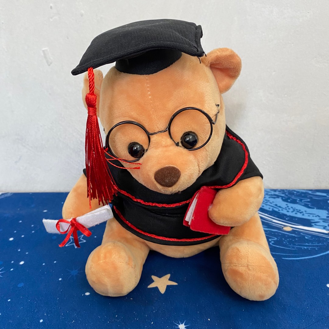 20cm teddy bear convocation/graduation, Hobbies & Toys, Stationery ...
