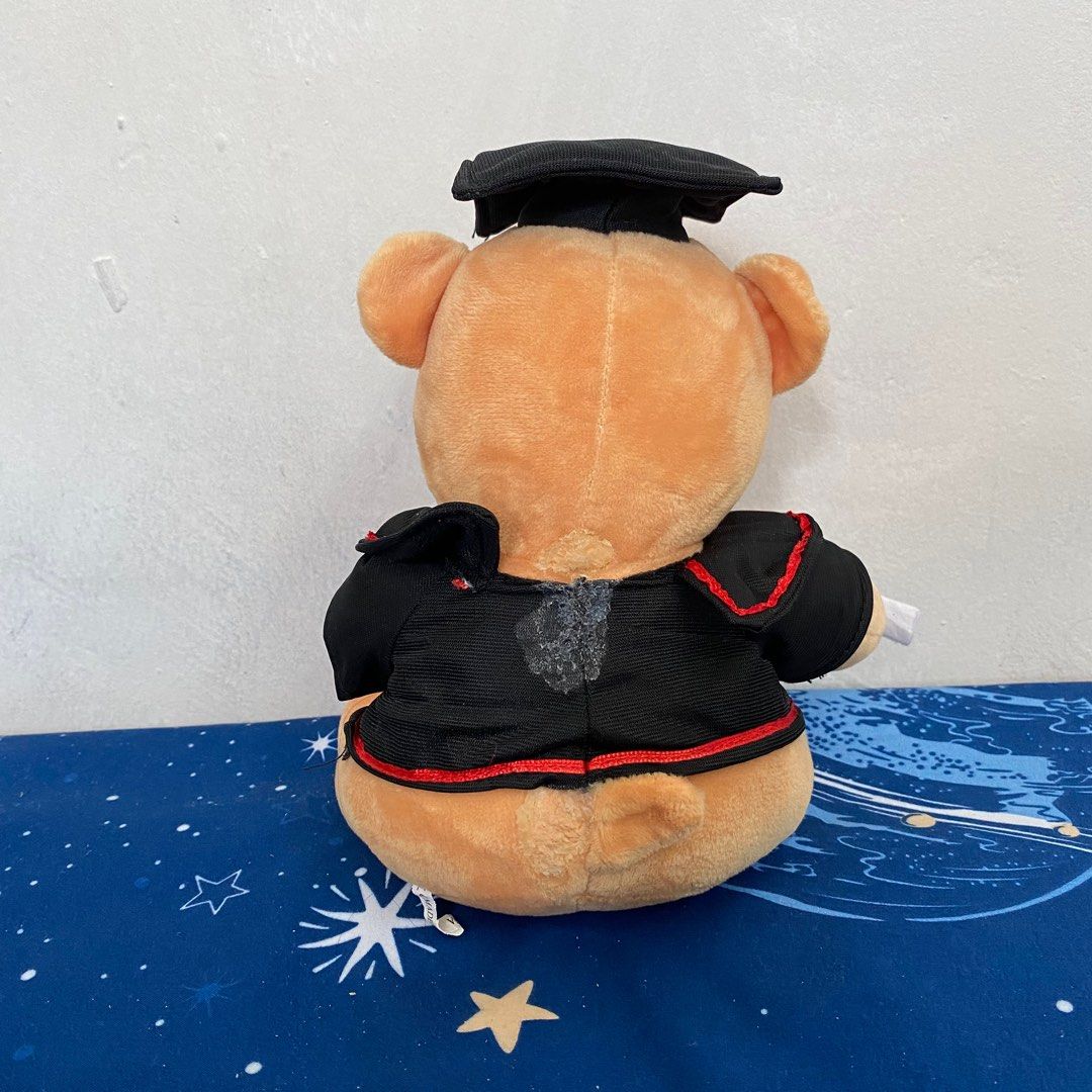 20cm teddy bear convocation/graduation, Hobbies & Toys, Stationery ...