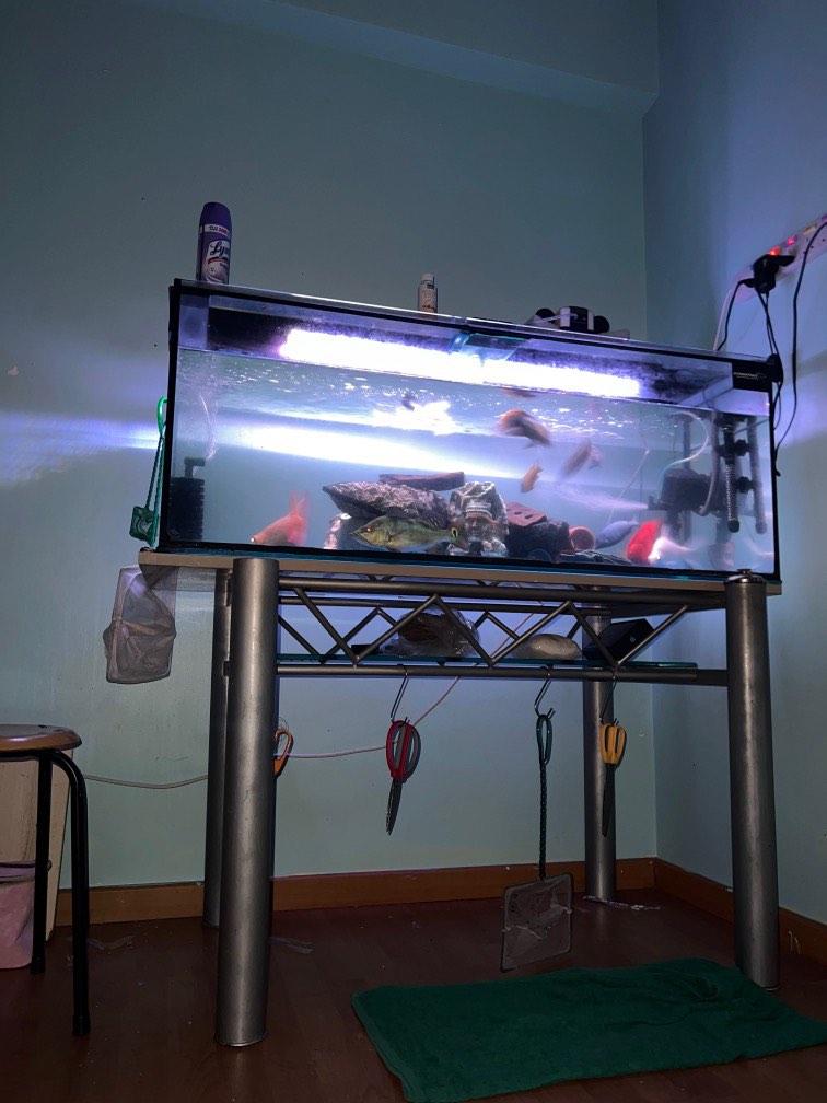 4ft tank and metal stand, Sports Equipment, Fishing on Carousell