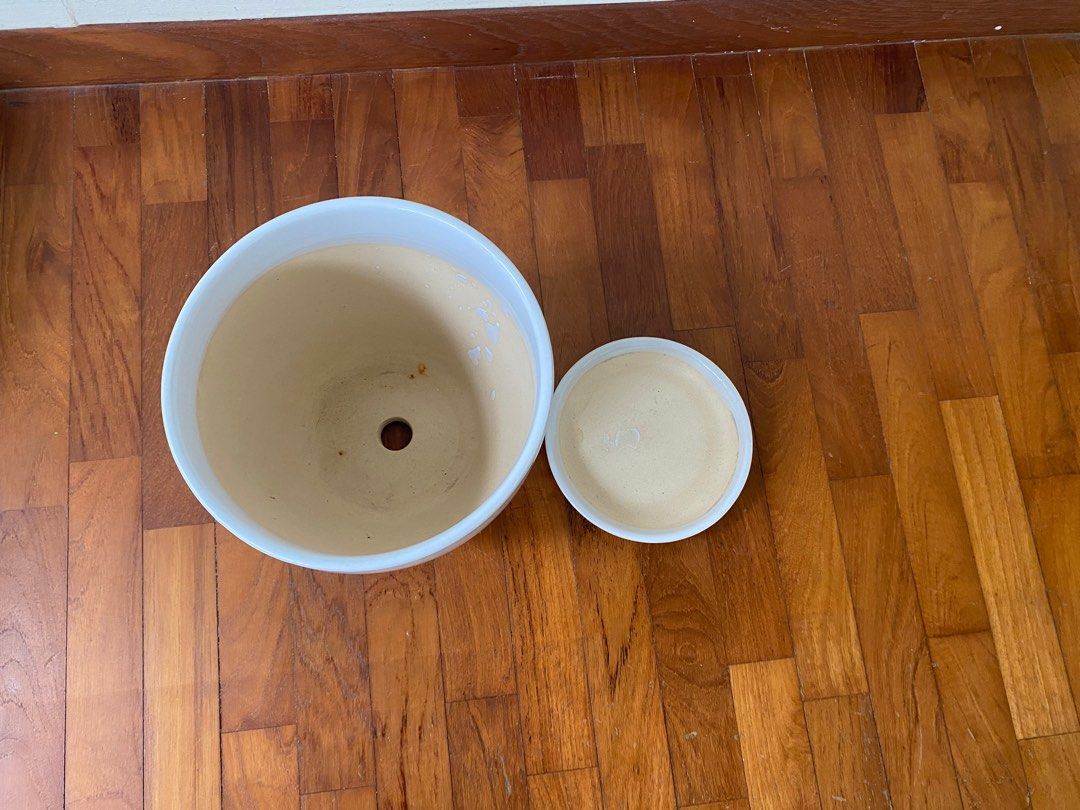 Ceramic White pot with lower plate, Furniture & Home Living, Gardening ...
