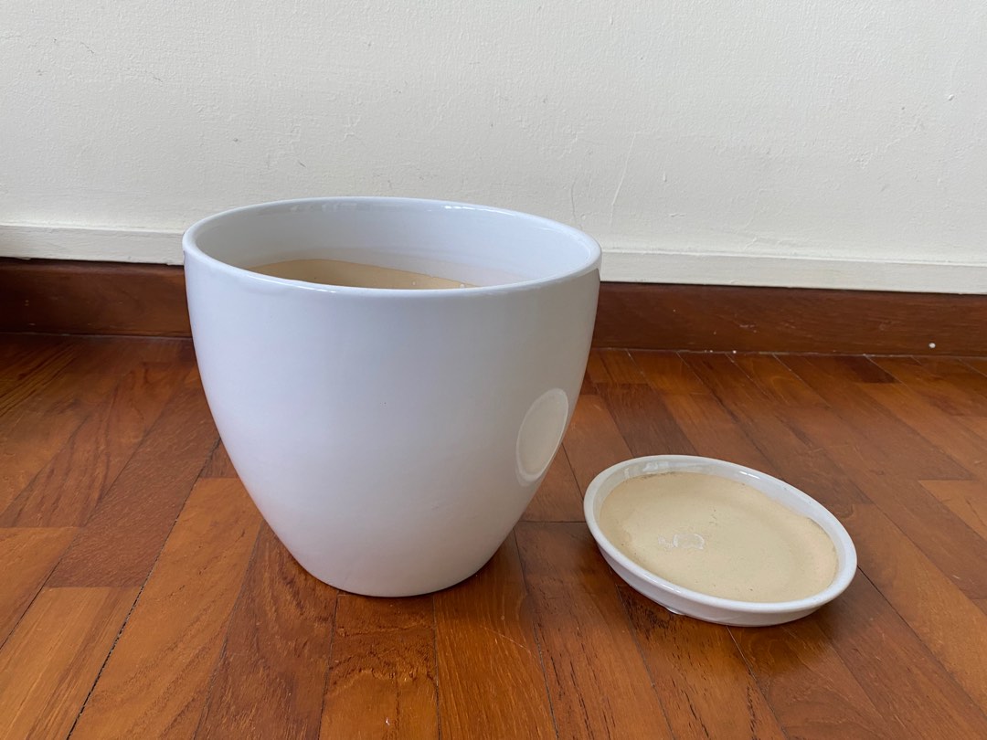 Ceramic White pot with lower plate, Furniture & Home Living, Gardening ...
