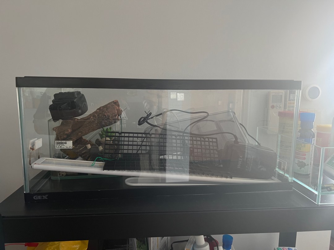 GEX fish tank with other accessories, Pet Supplies, Homes & Other Pet Accessories on Carousell