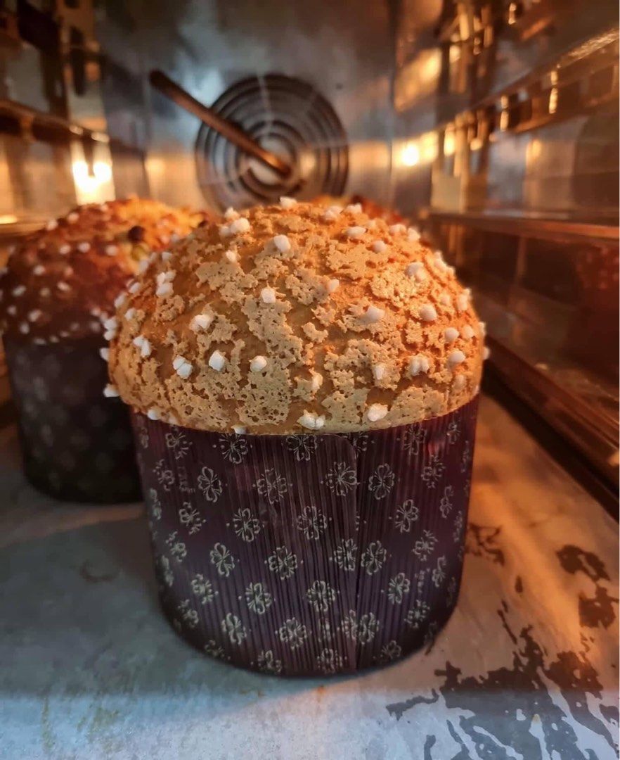 Panettone Alto Casing (500g) - Italy, Furniture & Home Living ...