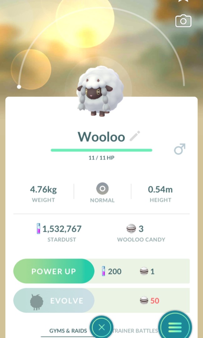 Pokemon Go Rare Wooloo, Video Gaming, Video Games, Others on Carousell