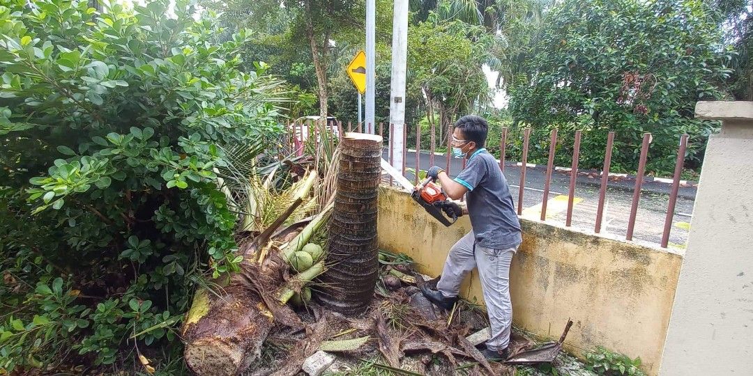 POTONG POKOK, Services, Home Services, Cleaning on Carousell