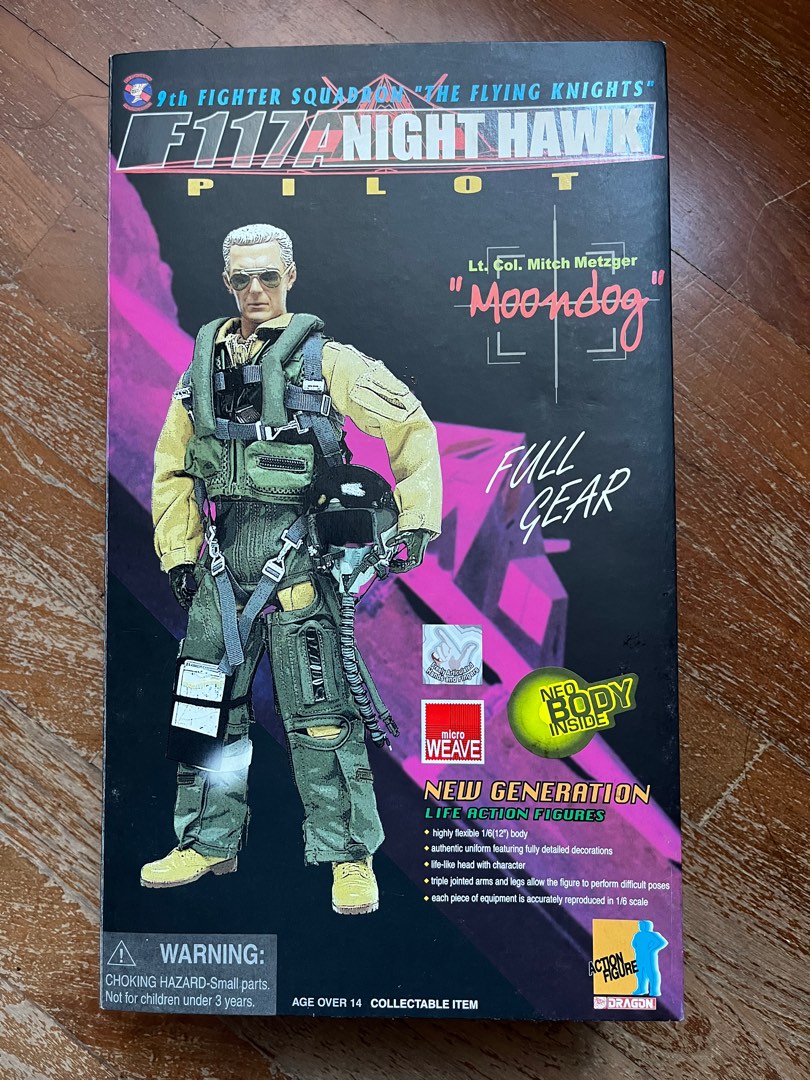 1/6 Scale F117A Night Hawk Pilot Action Figure by Dragon Models 2001 ...
