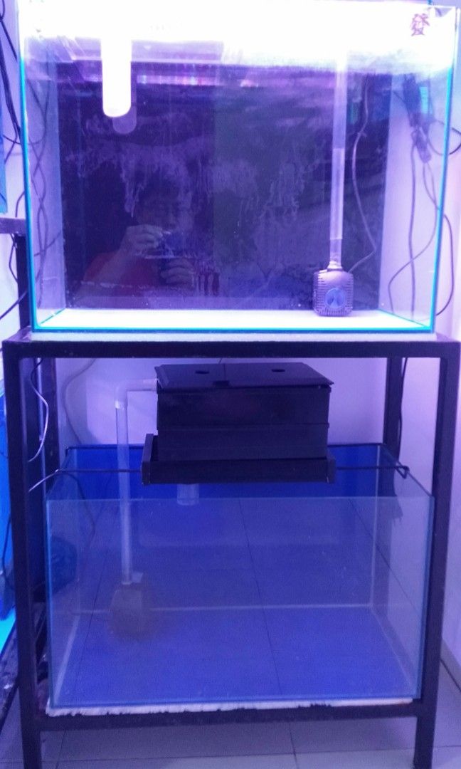 2nos of 2ft tanks with 1 Rack. ( Accessories not included), Pet ...