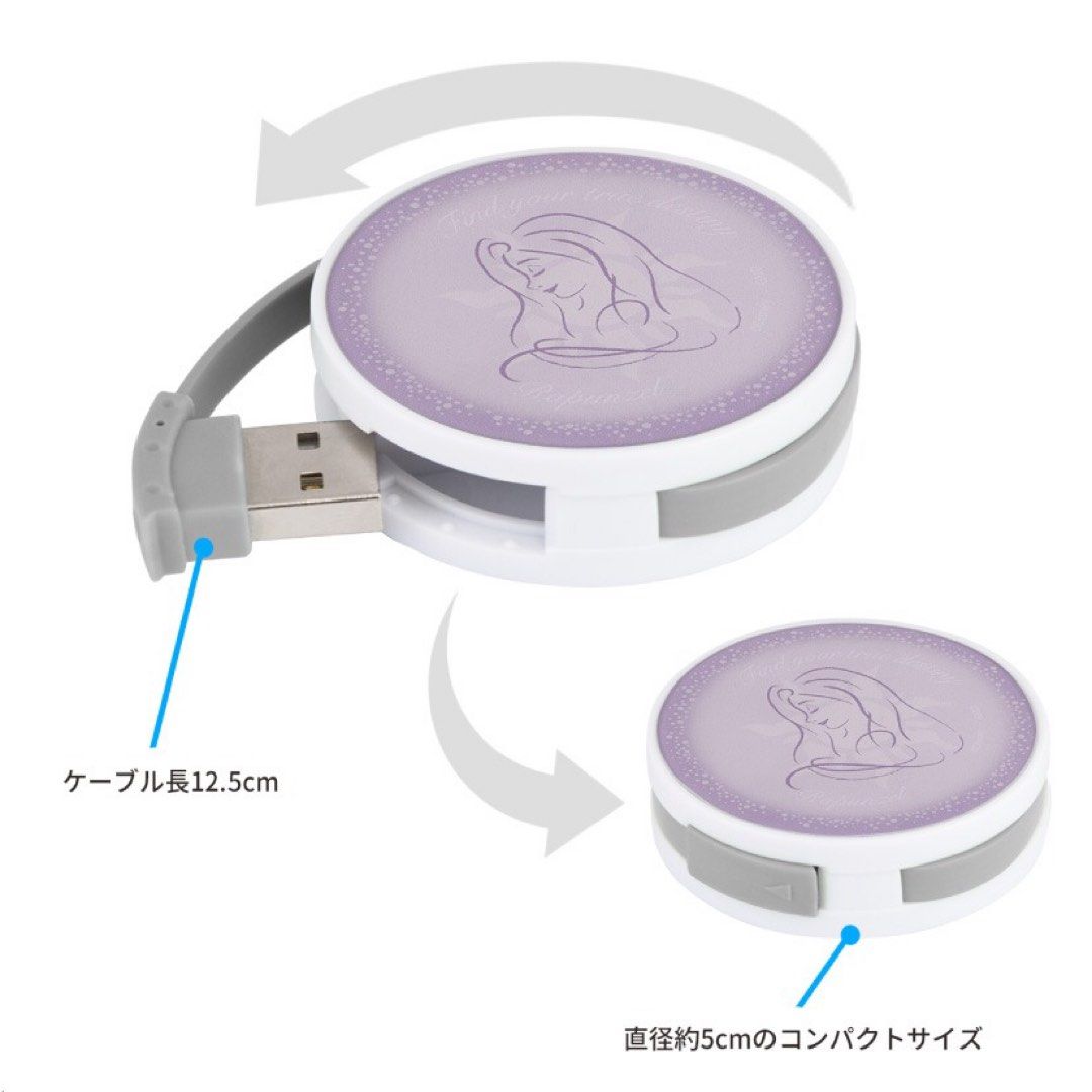 日本直送 Disney 迪士尼 Round USB Hub 系列 Beauty and the Beast 美女與野獸 Princess ...