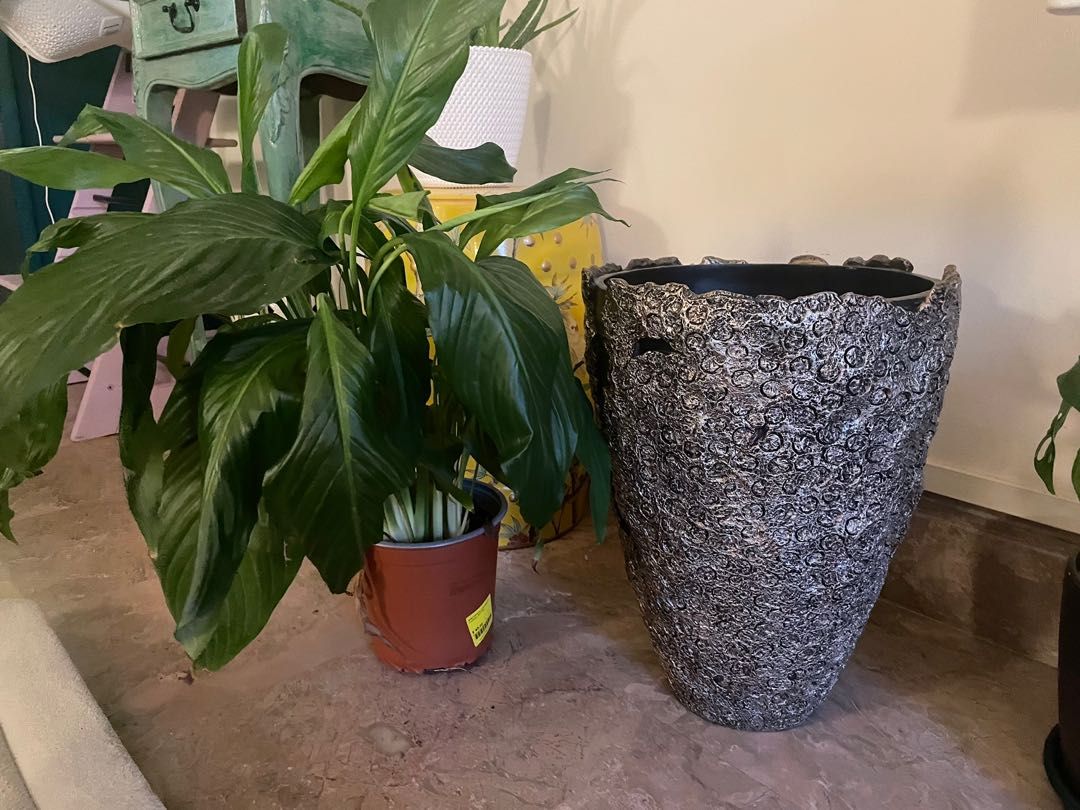 Beautiful Art Deco plant pot and Peace Lilly plant, Furniture & Home ...