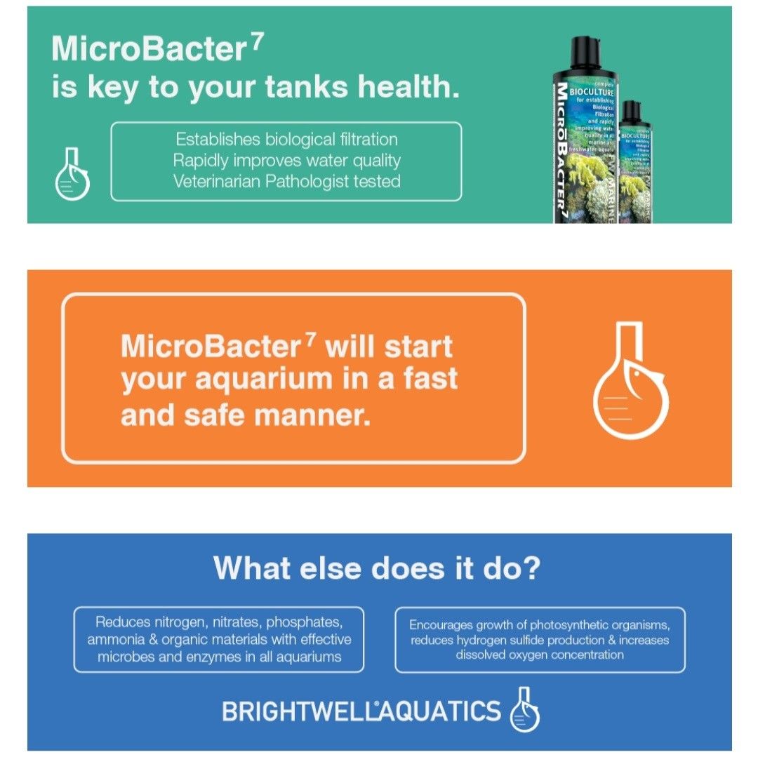 Brightwell Aquatics MicroBacter7 Complete Bioculture (500ml) (marine ...