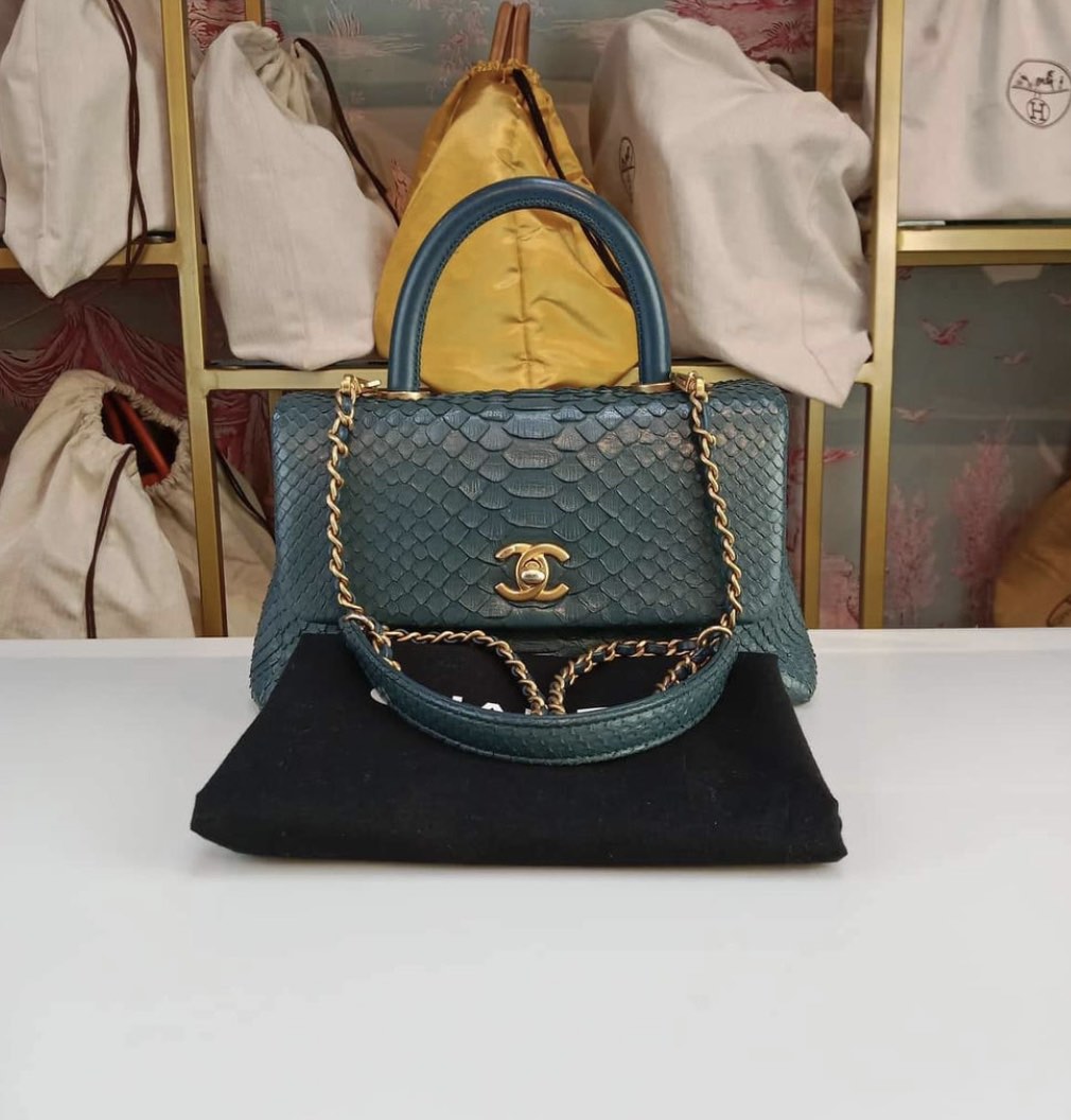 Chanel Mini Python Coco Handle, Luxury, Bags & Wallets on Carousell