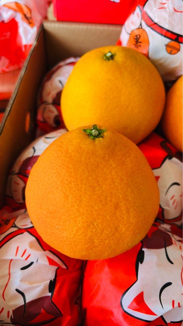 CN Aiyuan Mandarin Orange, Food & Drinks, Fresh Produce on Carousell