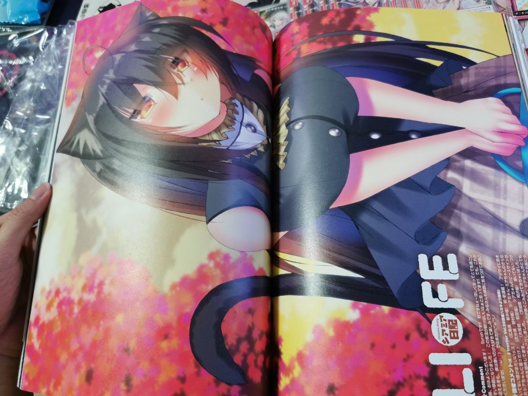 E2 Frontier magazine/ illustration book, Hobbies & Toys, Books ...