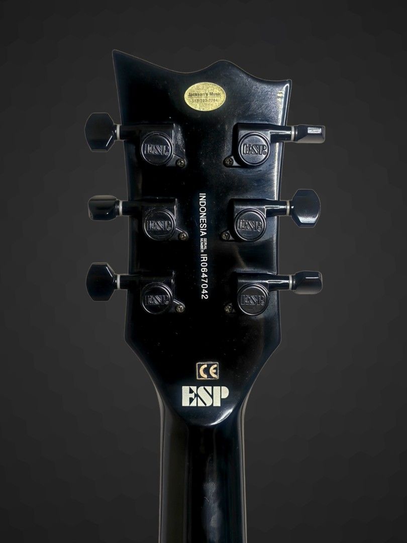 ESP LTD Electric Guitar, Hobbies & Toys, Music & Media, Musical ...