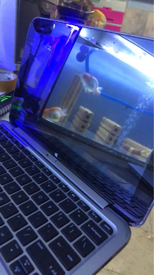 Hp laptop not working anymore , Computers & Tech, Laptops & Notebooks ...