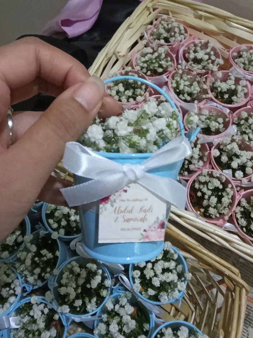 Mini Pots Bunga Rampai, Hobbies & Toys, Stationery & Craft, Flowers ...