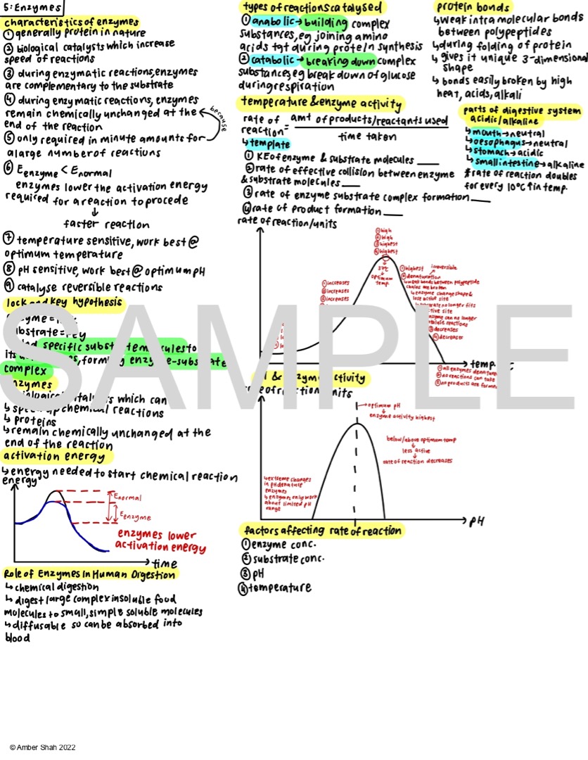 O Level Pure Biology A1 Notes, Hobbies & Toys, Books & Magazines ...