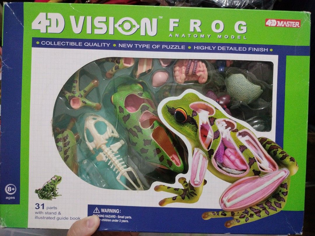 4D Vision Frog Anatomy, Hobbies & Toys, Toys & Games on Carousell