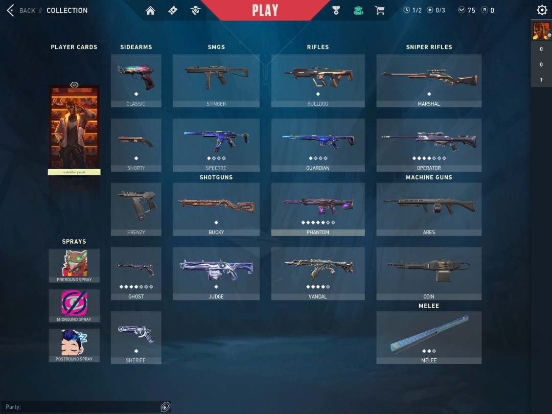 6 PREMIUM SKINS and 1BP valorant Account, Video Gaming, Gaming ...