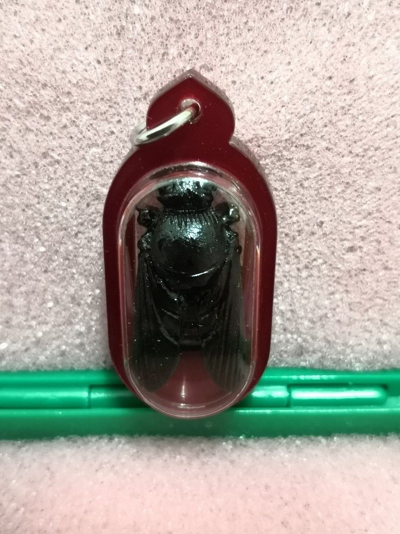 Ajarn hongcai Maleng pu, Hobbies & Toys, Memorabilia & Collectibles ...