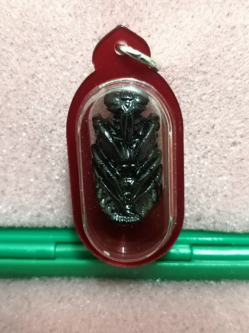 Ajarn hongcai Maleng pu, Hobbies & Toys, Memorabilia & Collectibles ...