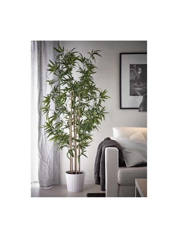 Artificial Plant - IKEA Fejka, Furniture & Home Living, Gardening ...