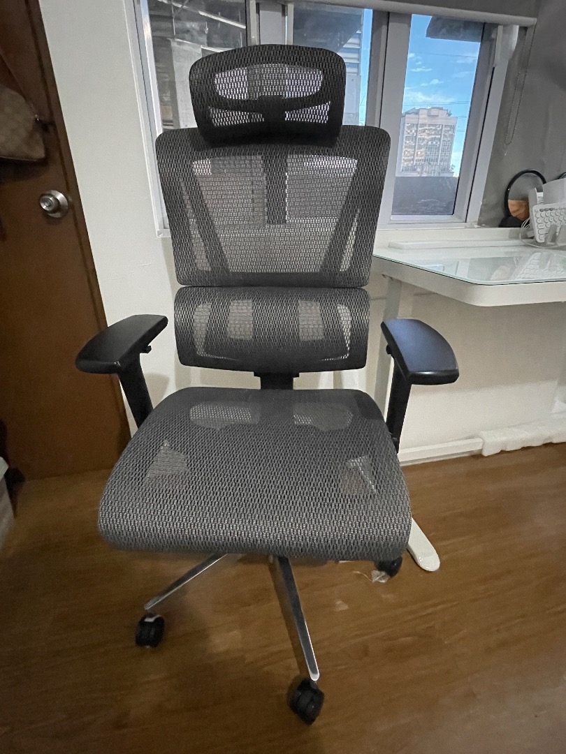 ErgoFlex Chair, Furniture & Home Living, Office Furniture & Fixtures on ...