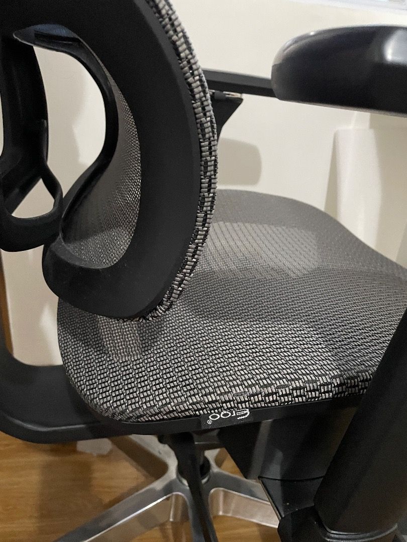 ErgoFlex Chair, Furniture & Home Living, Office Furniture & Fixtures on ...