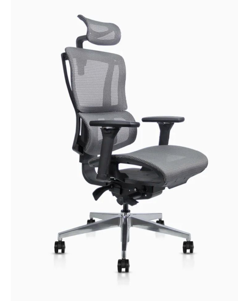 ErgoFlex Chair, Furniture & Home Living, Office Furniture & Fixtures on ...