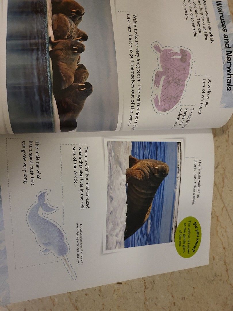 Eric carle My First Sticker Treasury 600 stickers, Hobbies & Toys ...