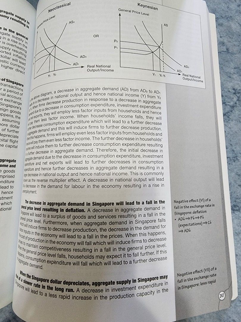 GCE A Levels H2 Economics Model Essay Book, Hobbies & Toys, Books ...