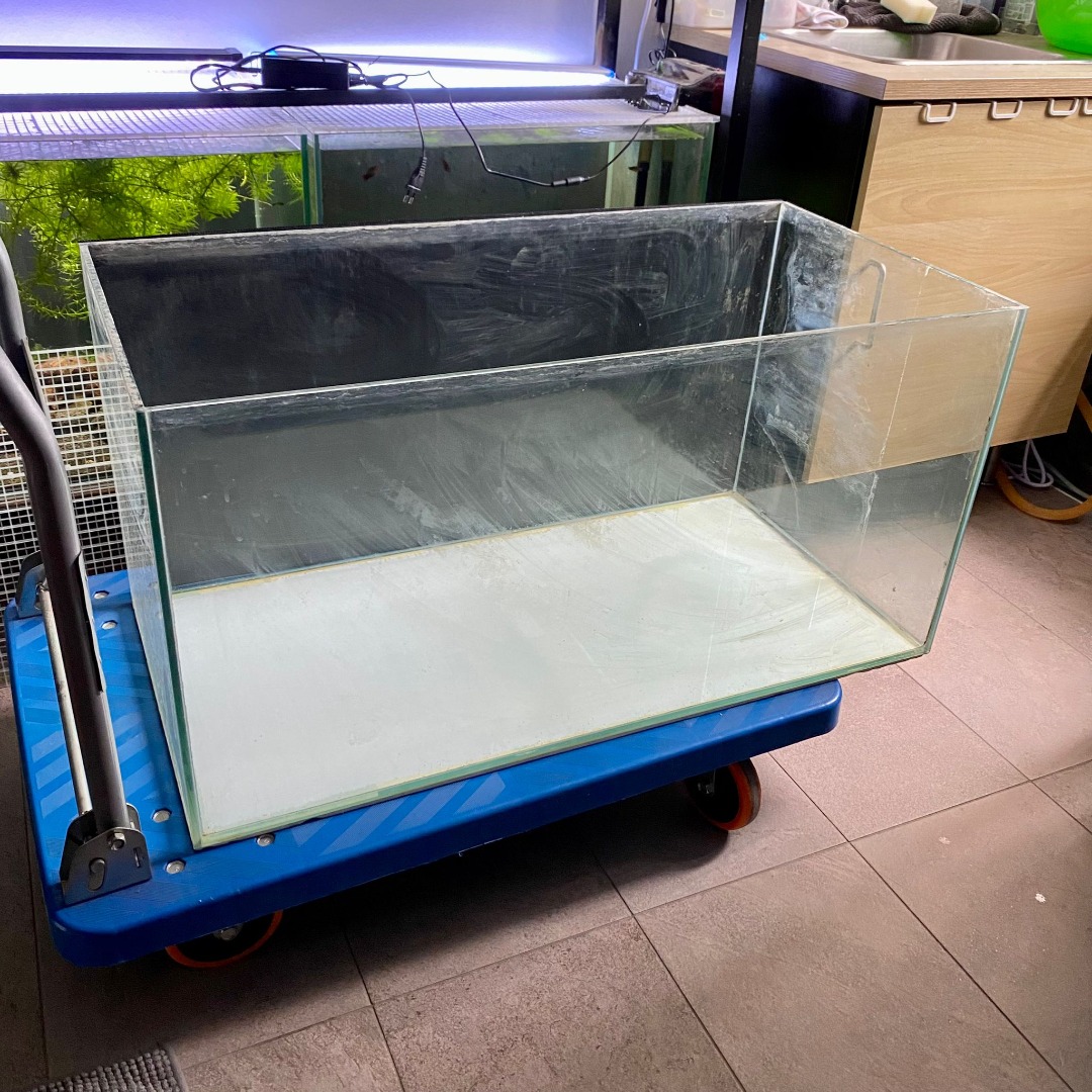 90cm / 3ft Glass Aquarium Tank, Pet Supplies, Homes & Other Pet ...