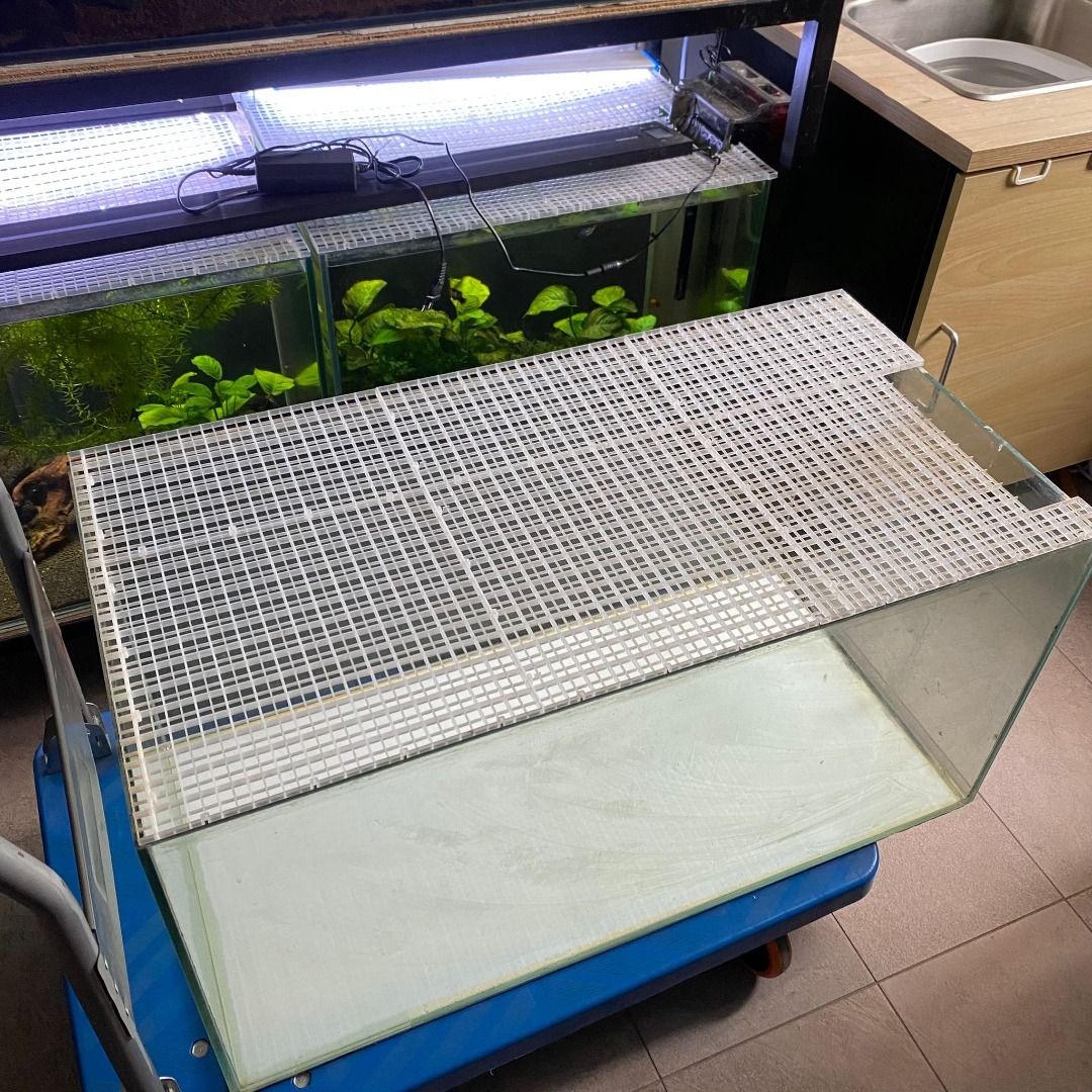 90cm / 3ft Glass Aquarium Tank, Pet Supplies, Homes & Other Pet ...