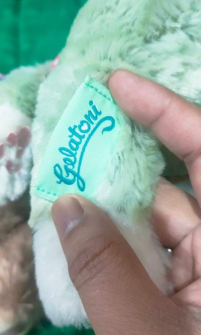 Bundle 15th Disney Duffy, Shellie May, and Gelatoni bundle, Hobbies ...