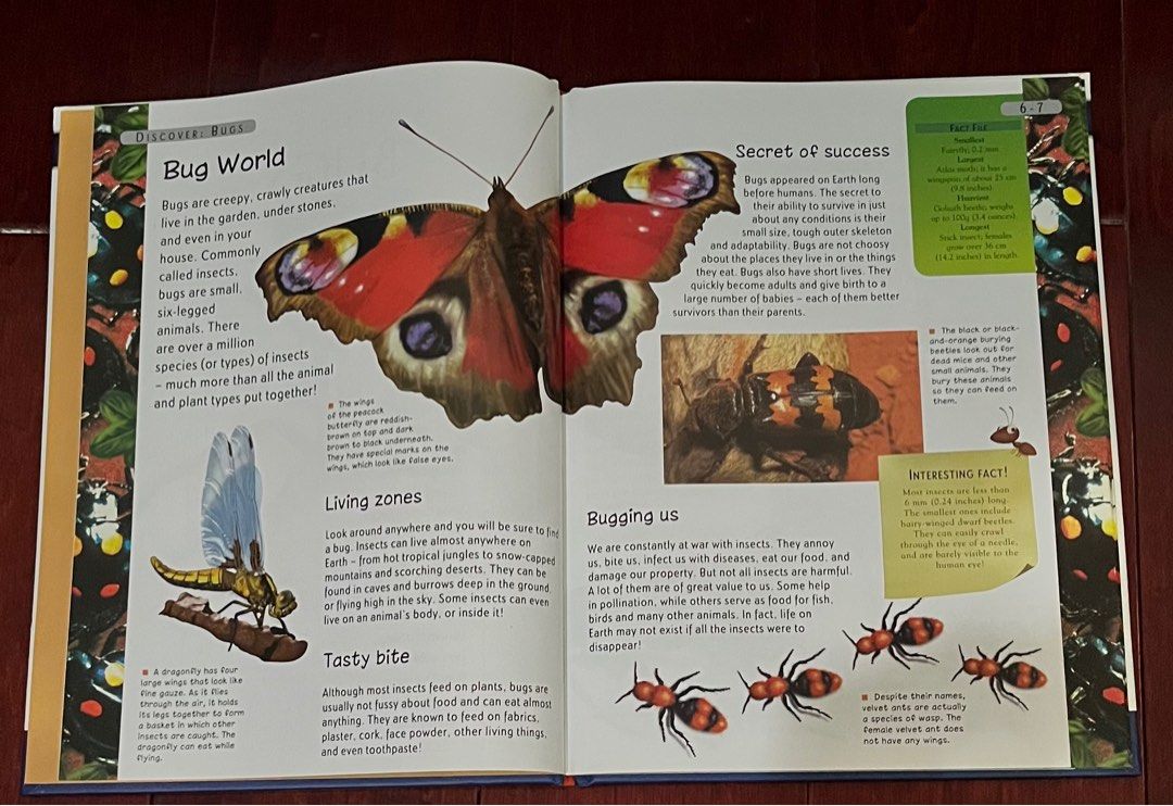 Discover Bugs, Hobbies & Toys, Books & Magazines, Children's Books on ...