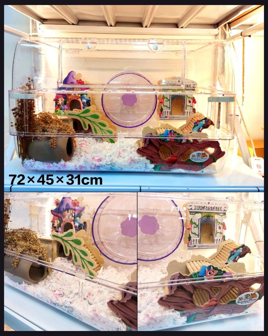 Hamster acrylic cage, Pet Supplies, Homes & Other Pet Accessories on ...