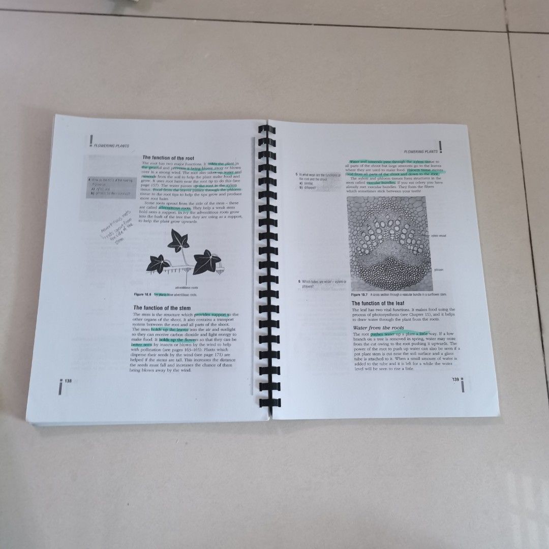 Igcse Biology Notes Hobbies And Toys Books And Magazines Textbooks On