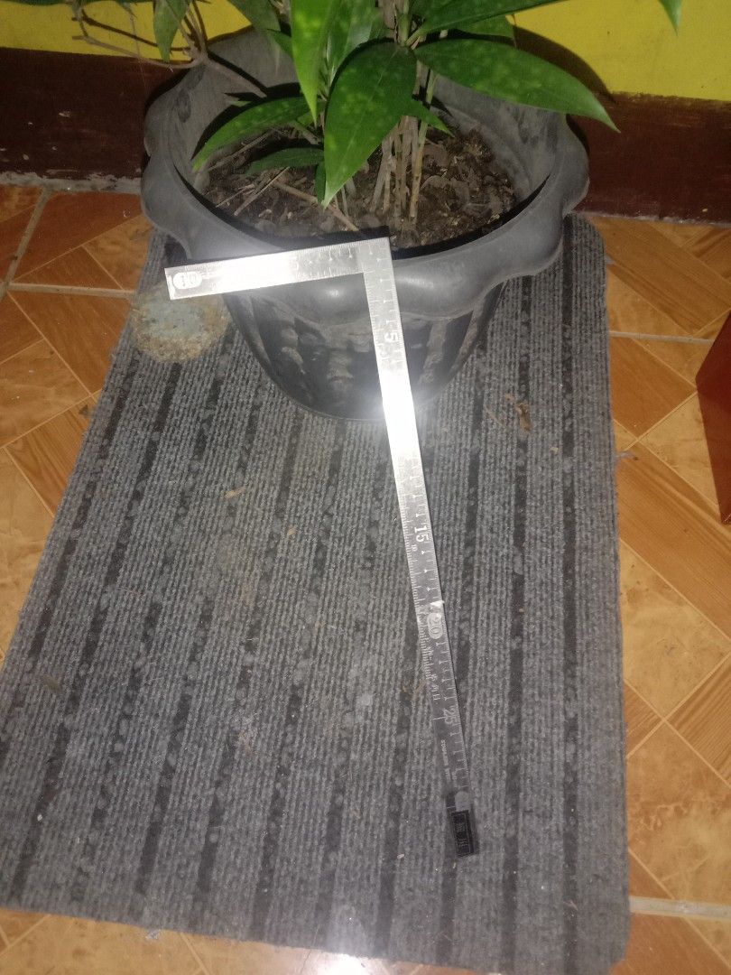 L- square rule ( stainless), Commercial & Industrial, Construction ...