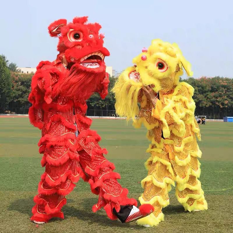 Lion dance costume, Everything Else on Carousell