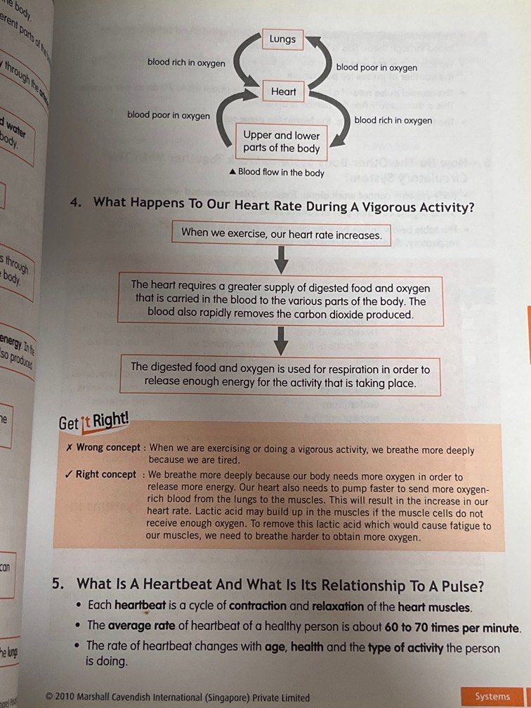 Primary 6 Science PSLE Revision Guide Assessment Book, Hobbies & Toys ...