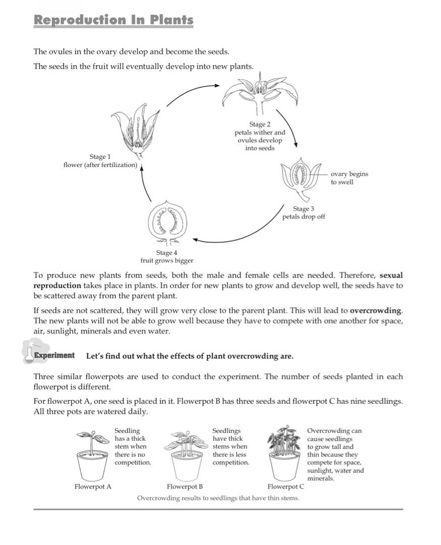 PSLE SCIENCE EXAM PACKAGE|PSLE SCIENCE 0009 UPPER BLOCK P5 P6 SCIENCE ...