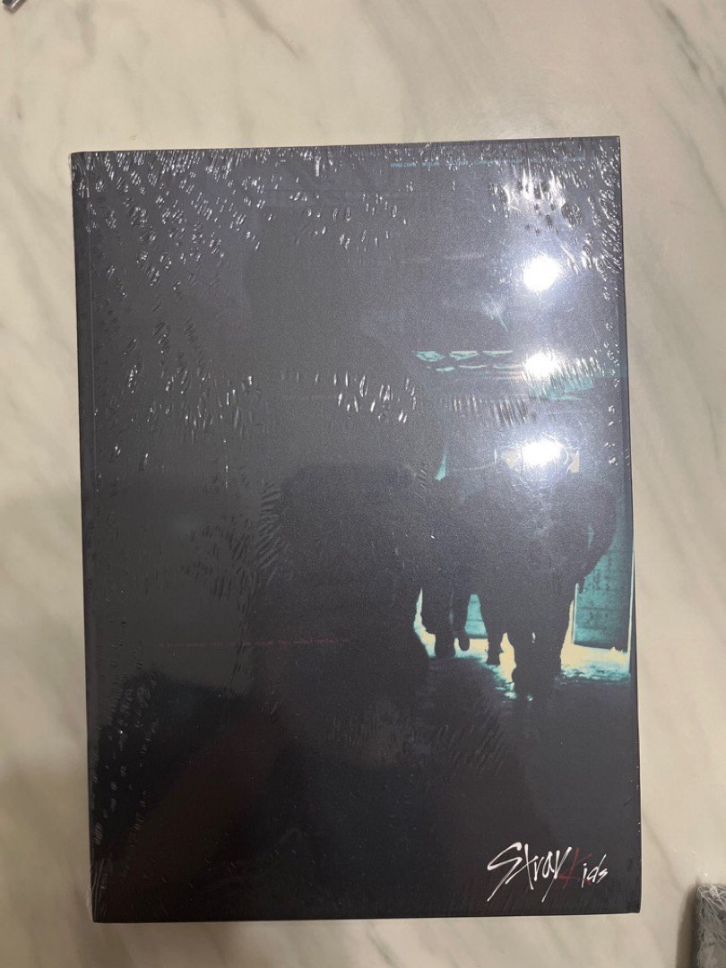 wts stray kids sealed albums i am not , Hobbies & Toys, Memorabilia ...