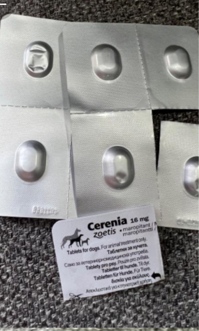 Cerenia (Maropitant) 16mg, Pet Supplies, Health & Grooming on Carousell