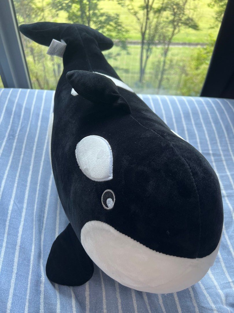 Cute Orca Plushie, Hobbies & Toys, Toys & Games on Carousell