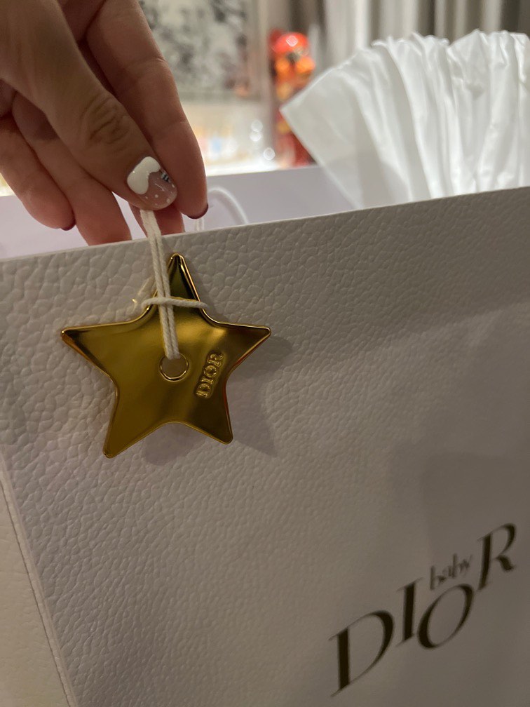 Dior package Steel logo, Hobbies & Toys, Toys & Games on Carousell