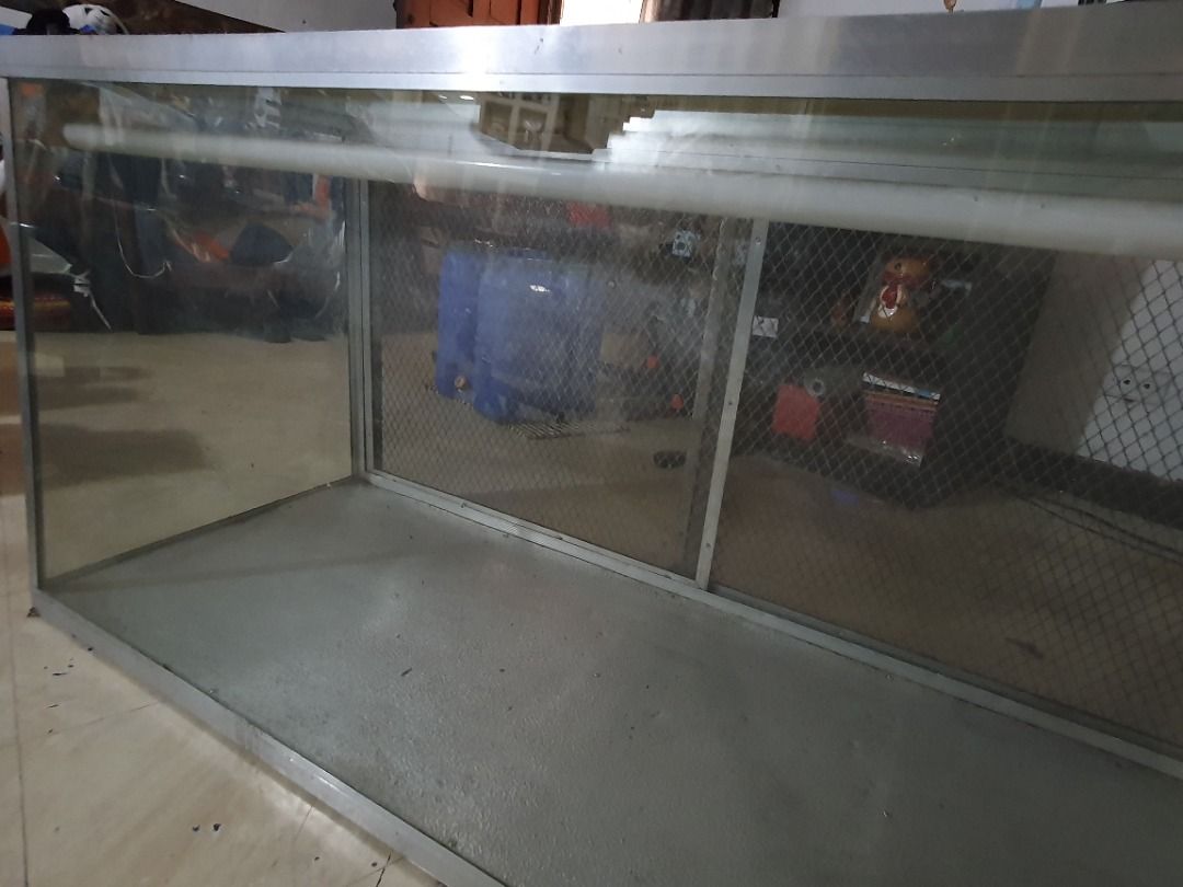 Food Display, Glass Stante, Furniture & Home Living, Kitchenware ...