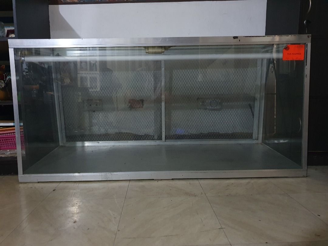 Food Display, Glass Stante, Furniture & Home Living, Kitchenware ...